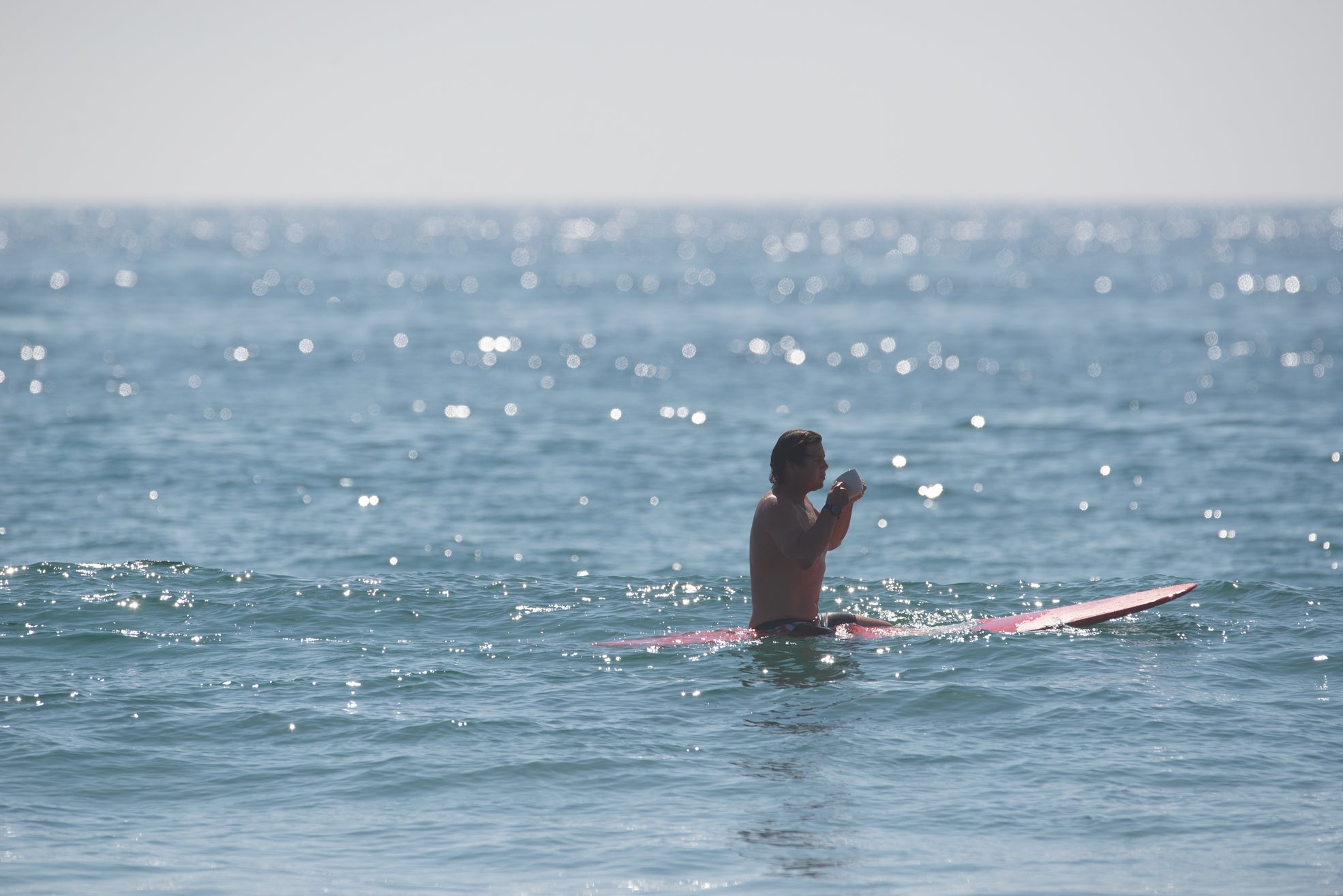 Our Partnership with Laird Superfood Coffee | Rockwell Kitchen